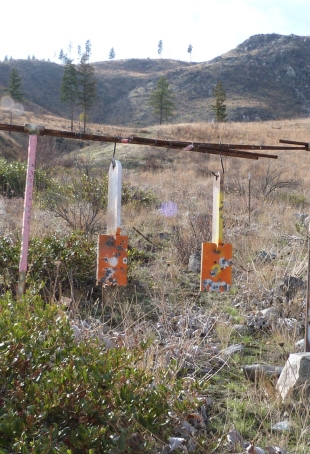 Long Range Targets - NCSC