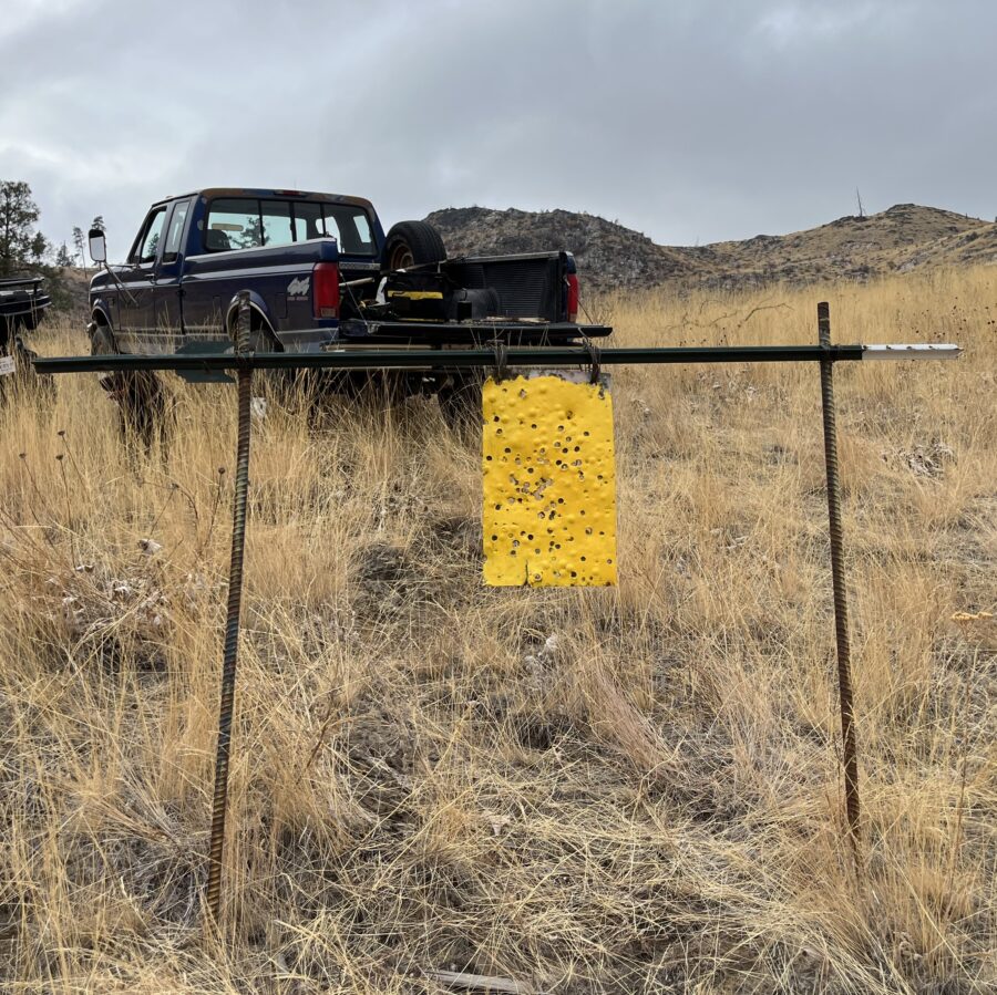 Long Range Targets - NCSC