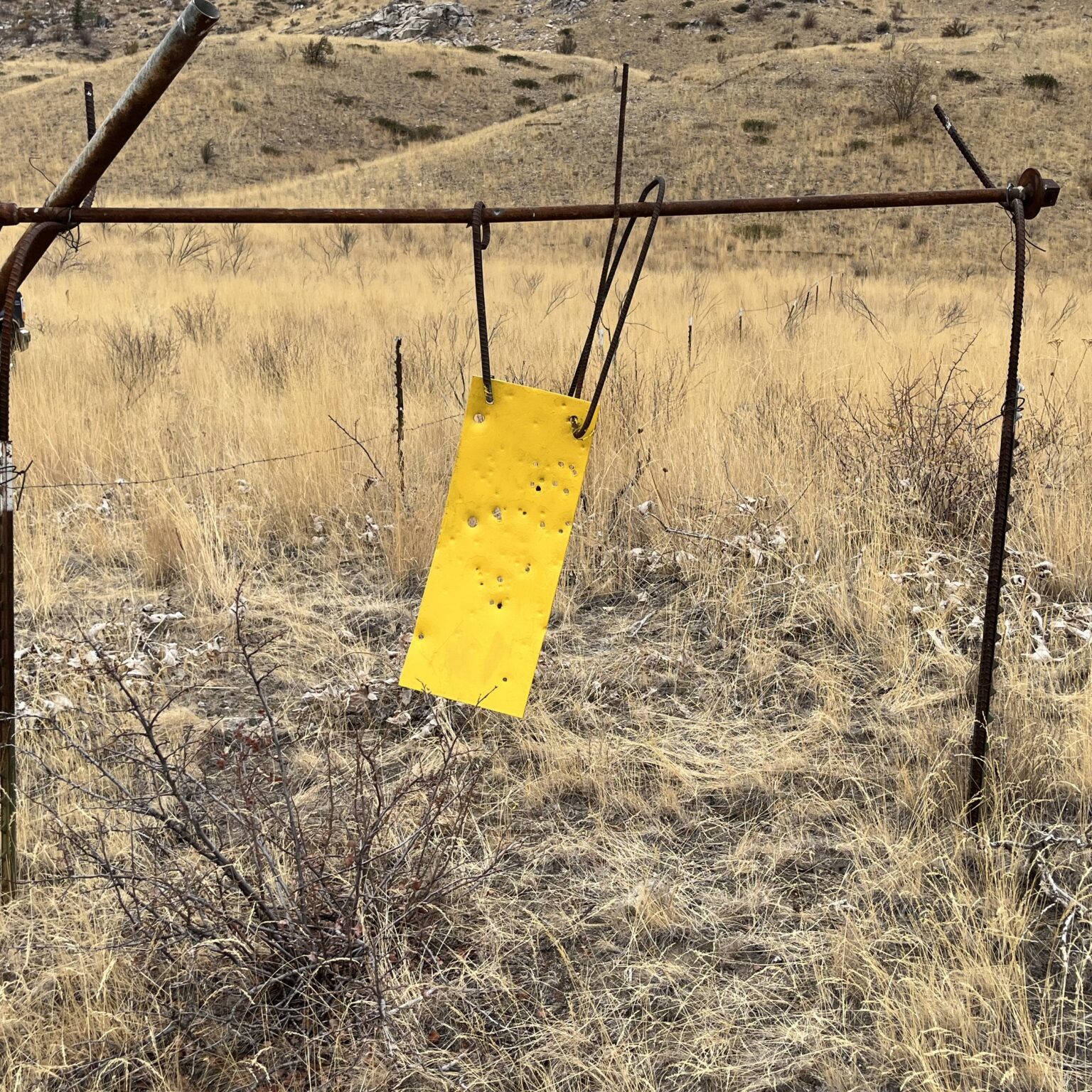 Long Range Targets - NCSC